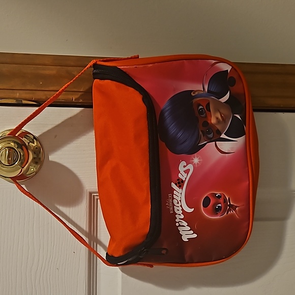 Disney | Other | Miraculous Lady Bug And Cat Noir Purse | Poshmark